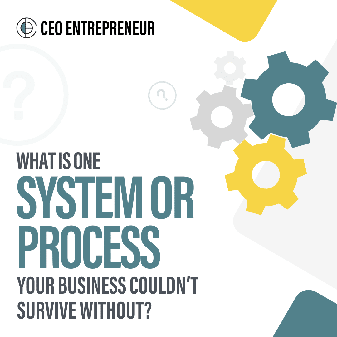 Systems & Processes – CEO Entrepreneur