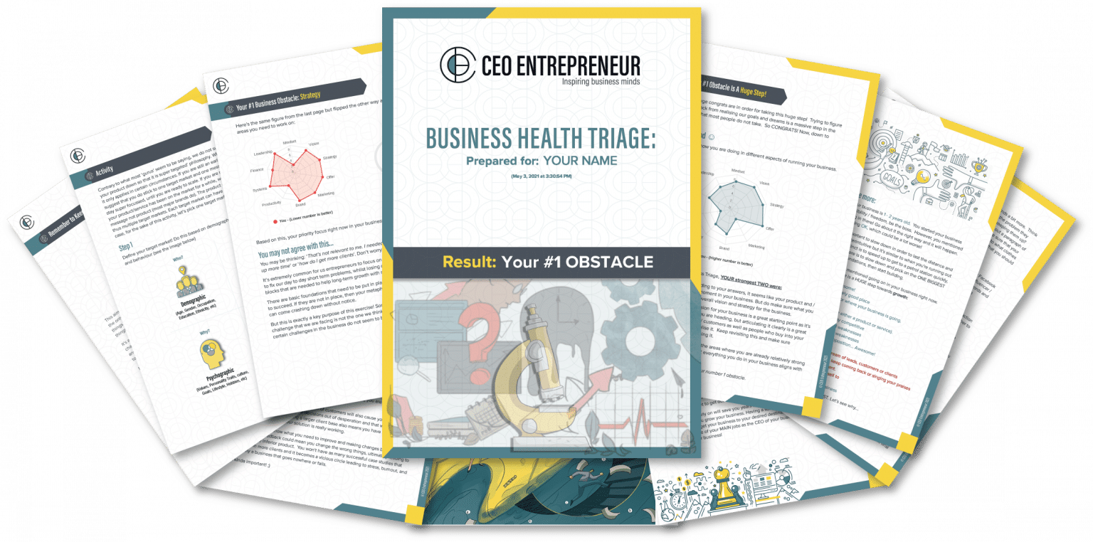 Business Triage – CEO Entrepreneur