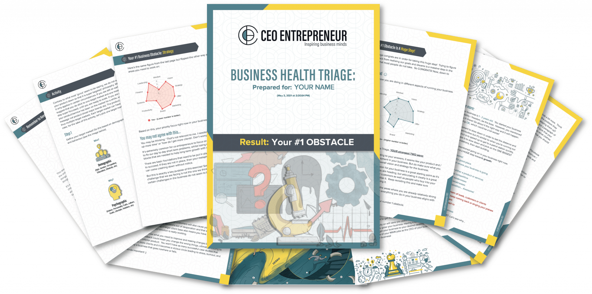 Business Triage – CEO Entrepreneur